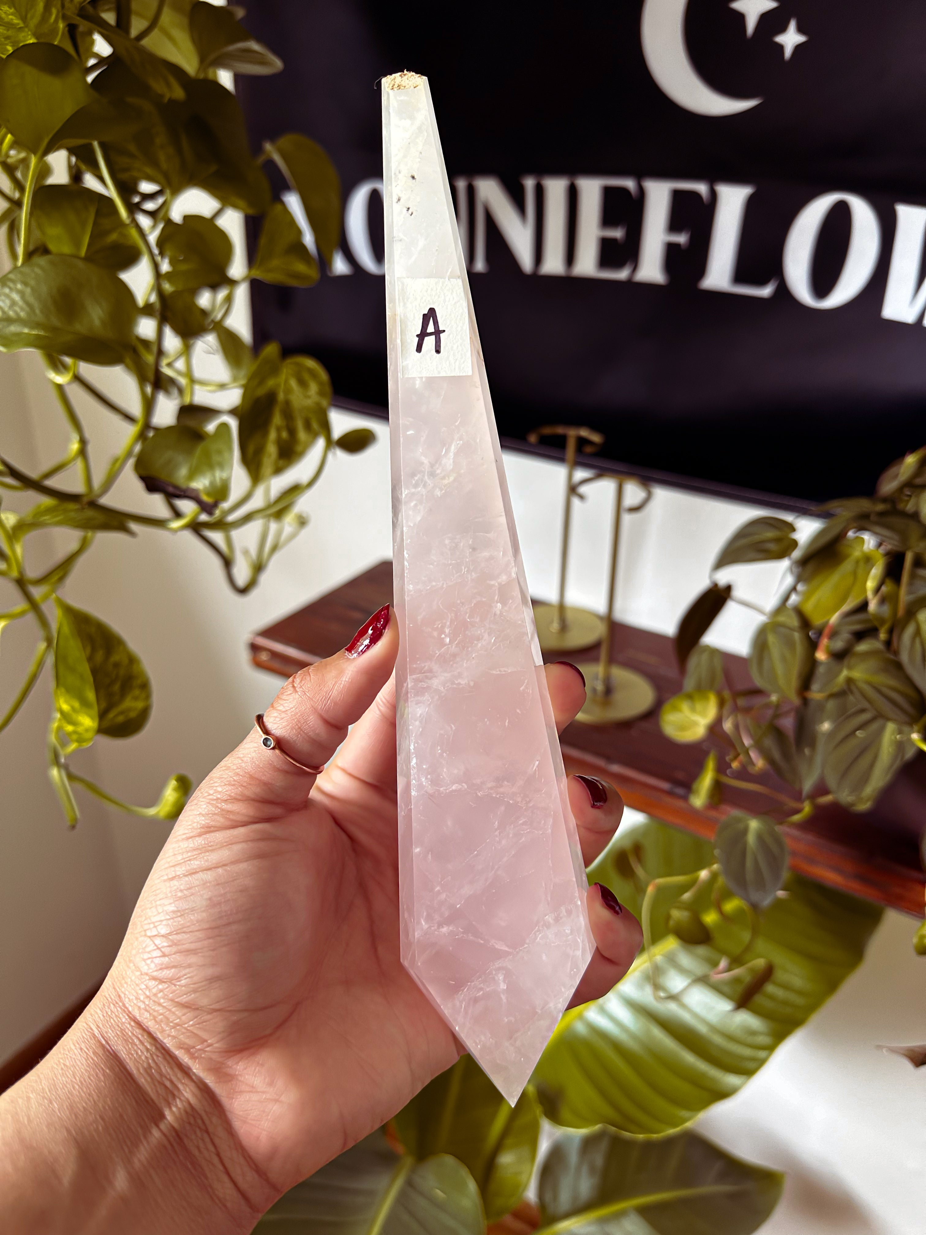 Gem Stems – Ronniefloweer LLC